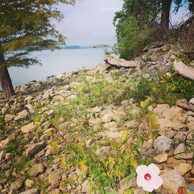 KENTUCKY LAKES & PRIZER POINT KOA - Updated August 2025 - 60 Photos ...