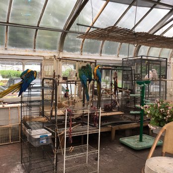 ABERNETHY & SPENCER GREENHOUSE - Updated October 2025 - 14 Photos & 34 ...