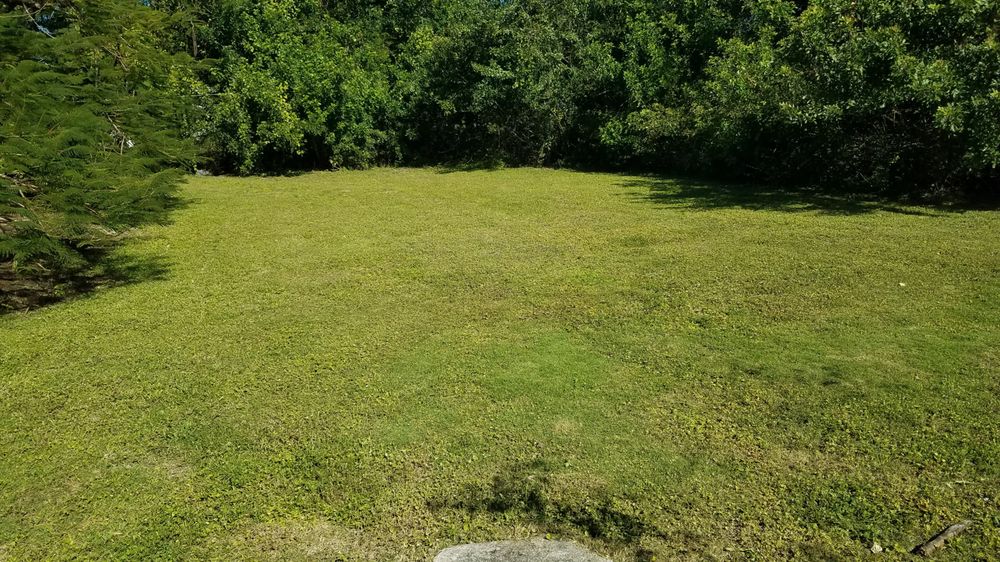 PRO PLUS CUTS LAWN SERVICE - Updated November 2024 - 34 Photos ...