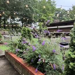 WATTS & WARD - Updated March 2025 - 315 Photos & 262 Reviews - 200 S ...