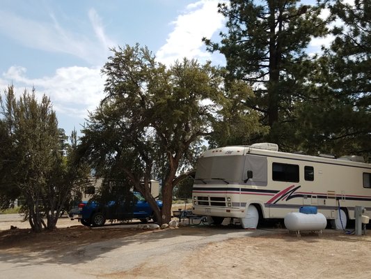 PINE TREE RV PARK - Updated October 2025 - 14 Photos & 24 Reviews ...