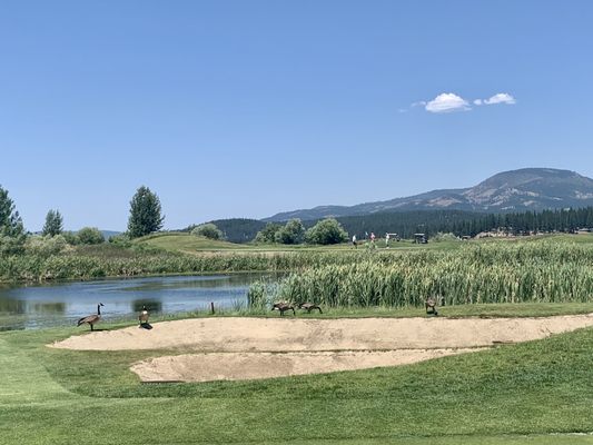 WHITEHAWK RANCH GOLF CLUB - Updated July 2025 - 24 Photos & 23 Reviews ...