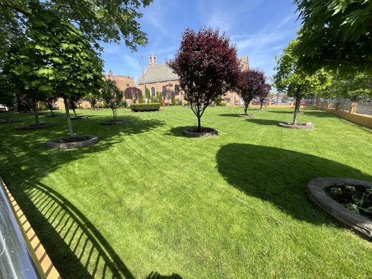 MOYA LANDSCAPING - Updated November 2024 - 74 Photos - Brooklyn, New ...