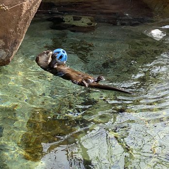 LEHIGH VALLEY ZOO - Updated July 2024 - 116 Photos & 57 Reviews - 5150 ...