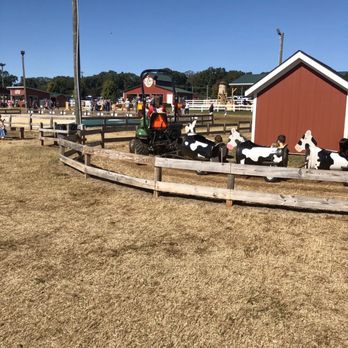 DENVER DOWNS FARM - Updated January 2026 - 71 Photos & 24 Reviews ...