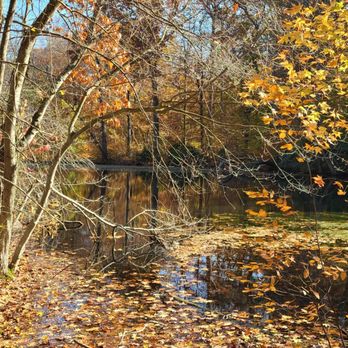 BAILEY ARBORETUM - Updated August 2025 - 147 Photos & 21 Reviews - 194 ...