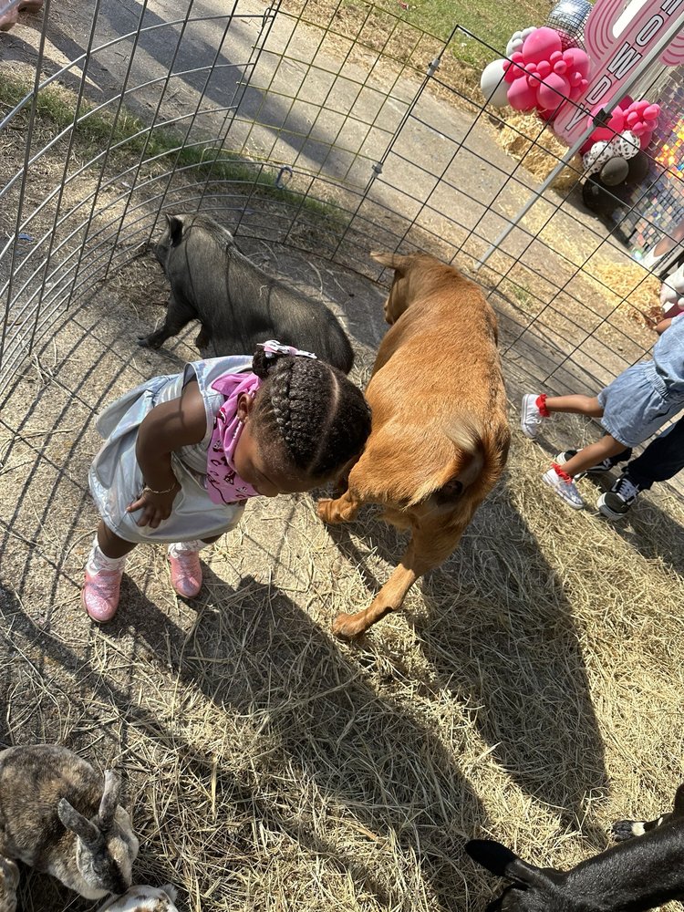 LOS MELCHOR’S PONY PARTIES - Updated December 2025 - Houston, Texas ...