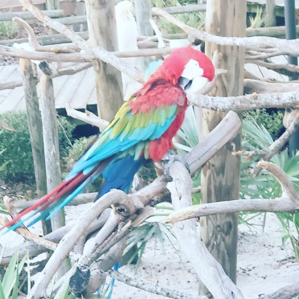 GATOR SPOT - 37 Photos - 5700 Fun Spot Way, Orlando, Florida ...