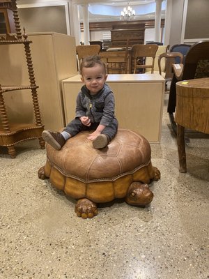 APPLE TREE AUCTION CENTER - Updated October 2025 - 15 Photos & 23 ...