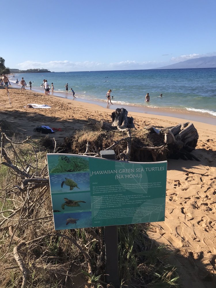 HONOAPIILANI PARK - 14 Photos - Honoapiilani Park Access Rd, Lahaina ...