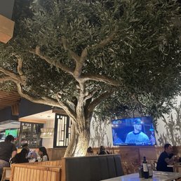 MEDDYS - Updated December 2024 - 59 Photos & 15 Reviews - 4820 E 61st ...