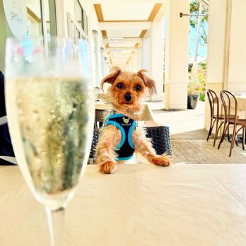 KITCHEN 57 - Updated January 2026 - 72 Photos & 62 Reviews - 7301 SW ...