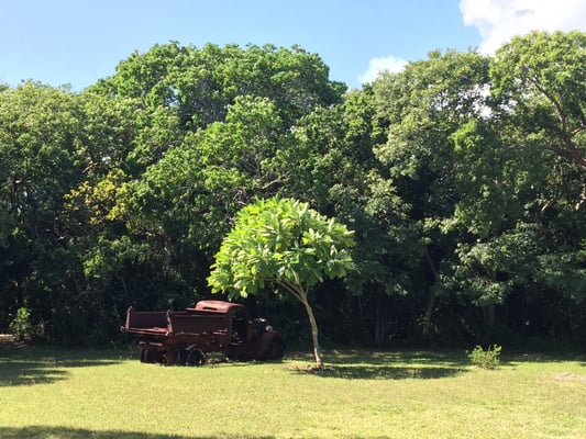 LIGNUMVITAE KEY BOTANICAL STATE PARK - 15 Photos - Islamorada, FL - Yelp