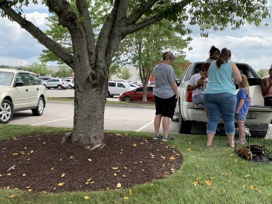 TARGET - Updated September 2025 - 77 Photos & 47 Reviews - 1851 Old ...