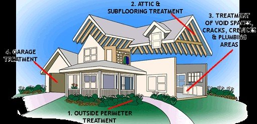 BIO-TECH PEST CONTROL - Updated October 2025 - 50 Photos & 64 Reviews ...