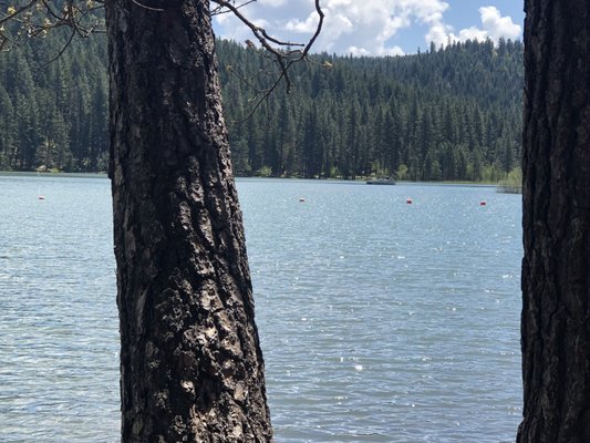 WILLOW LAKE RESORT - Updated October 2025 - 7800 Fish Lake Rd, Butte ...