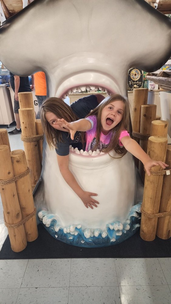 SEA SHELL CITY - Updated July 2025 - 94 Photos & 27 Reviews - 7075 ...