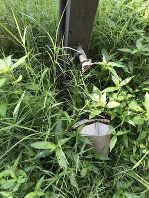 WILSON’S RIVERFRONT RV PARK - Updated July 2025 - 26 Photos & 39 ...