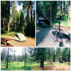 ROBINSON CREEK CAMPGROUND - Updated May 2024 - 23 Photos - Bridgeport ...