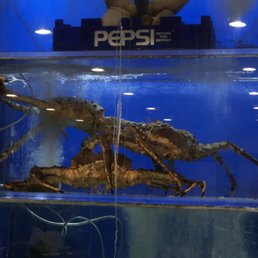 JOYALE SEAFOOD RESTAURANT - Updated December 2025 - 521 Photos & 211 ...