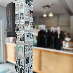 FALAFEL QUEEN - Updated November 2024 - 41 Photos & 111 Reviews - 1080 ...