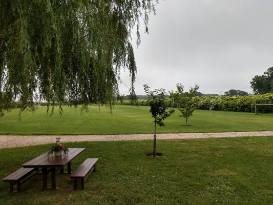 SALT AIR FARM - Attraction Farms - 1535 New Suffolk Rd, Cutchogue, NY ...