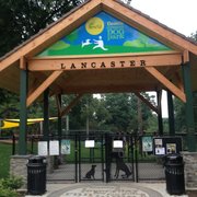 BEAU’S DREAM DOG PARK - 20 Photos & 15 Reviews - 901 Buchanan Ave ...