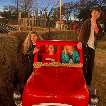 TOP 10 BEST Christmas Tree Farm near Sanger, TX 76266 - Updated 2025 - Yelp