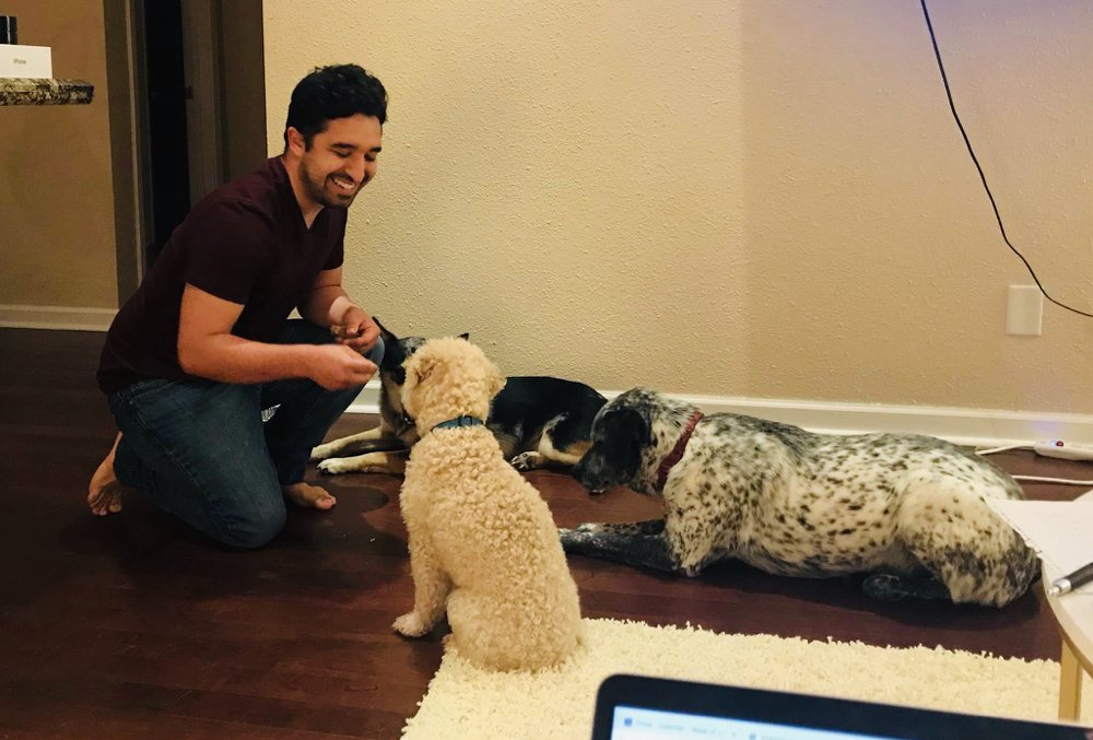 VENTURE DOG TRAINING - Updated August 2024 - 39 Photos & 20 Reviews ...