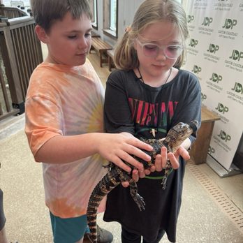 GATOR CHATEAU - Updated June 2024 - 155 Photos & 41 Reviews - 100 Rue ...