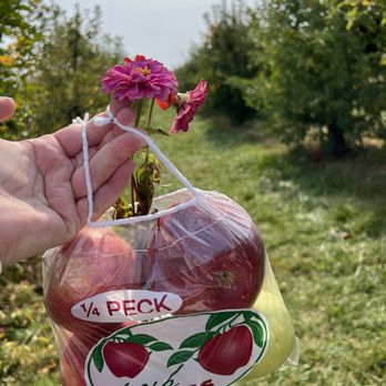 STUCKEY FARM ORCHARD AND CIDER MILL - Updated October 2025 - 195 Photos ...