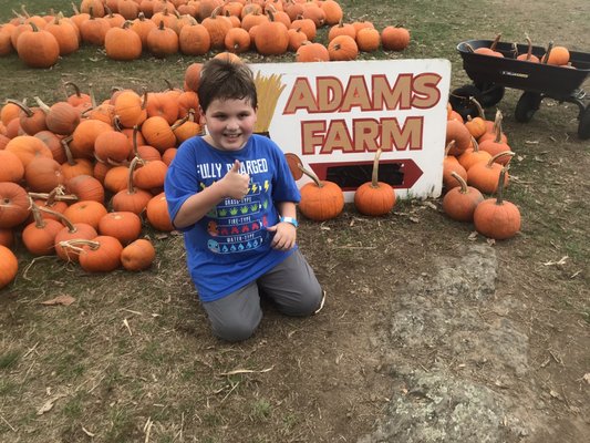ADAM’S FARM - Updated September 2024 - 34 Photos & 13 Reviews - 495 ...