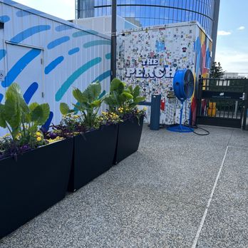 PERCH PUTT - Updated May 2025 - 155 Photos & 49 Reviews - 1805 Capital ...