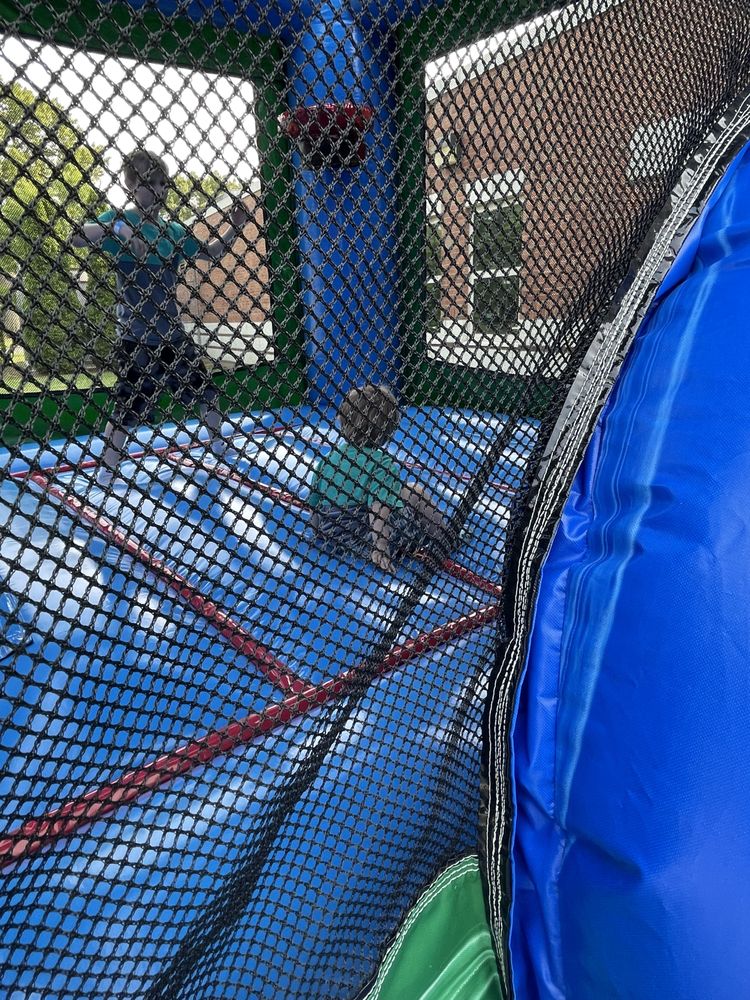 CRAZY CLEANING LADY - Updated April 2025 - Springfield, Illinois - Home ...