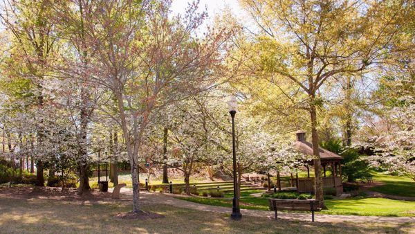 IRMO TOWN PARK - Updated December 2025 - 12 Photos - 7330 Carlisle St ...