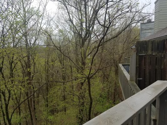 EAGLE POINTE RESORT - Updated December 2025 - 2250 E Pointe Rd ...