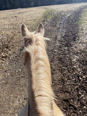 RED BUFFALO RANCH - Updated December 2025 - 69 Photos & 62 Reviews ...