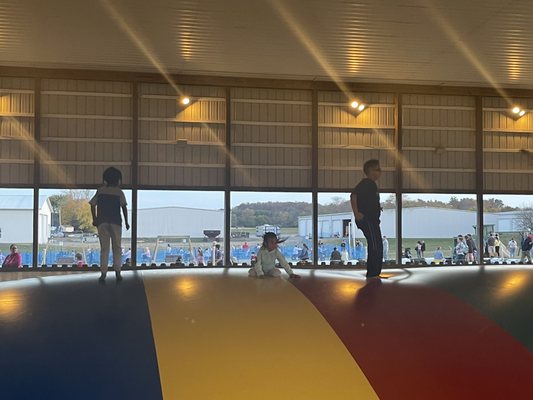 NIEDERMAN FAMILY FARM - Updated October 2025 - 95 Photos & 30 Reviews ...