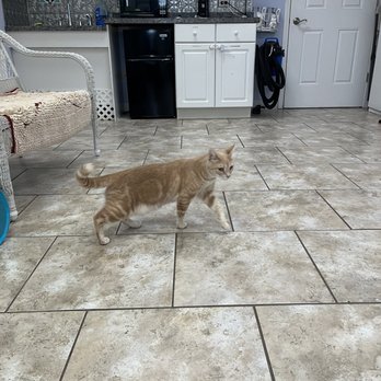 PAWSITIVELY HEAVEN PET RESORT - Updated January 2026 - 61 Photos & 128 ...