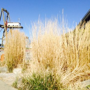 ELD INLET - Updated July 2025 - 11 Photos - Olympia, Washington ...