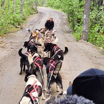 ALASKA SLED DOGS & MUSHER’S CAMP - Updated December 2025 - 159 Photos ...