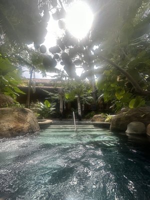 SPA BOTANICO - Updated May 2024 - 50 Photos & 12 Reviews - Dorado Beach ...