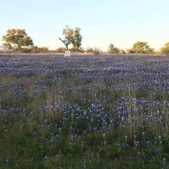 Oxford Ranch Campground - Trusted Since 2010 - Updated July 2025 - 18 ...