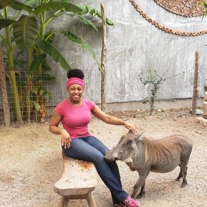 HOUSTON INTERACTIVE AQUARIUM AND ANIMAL ADVENTURE - 139 Photos & 63 ...