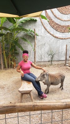 HOUSTON INTERACTIVE AQUARIUM AND ANIMAL ADVENTURE - 190 Photos & 108 ...