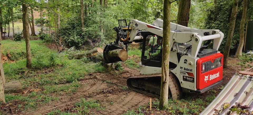 EXCEED TREE CARE - Updated March 2025 - 17 Photos & 20 Reviews ...