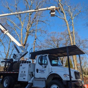 STANLEY TREE SERVICE - Updated October 2025 - 16 Photos & 59 Reviews ...