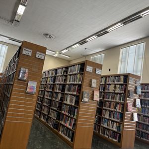 SAN LEANDRO LIBRARY - MAIN LIBRARY - Updated March 2025 - 209 Photos ...