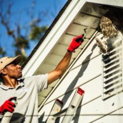 DISTRICT ELITE PEST MANAGEMENT - 41 Photos & 80 Reviews - 1300 I St NW ...