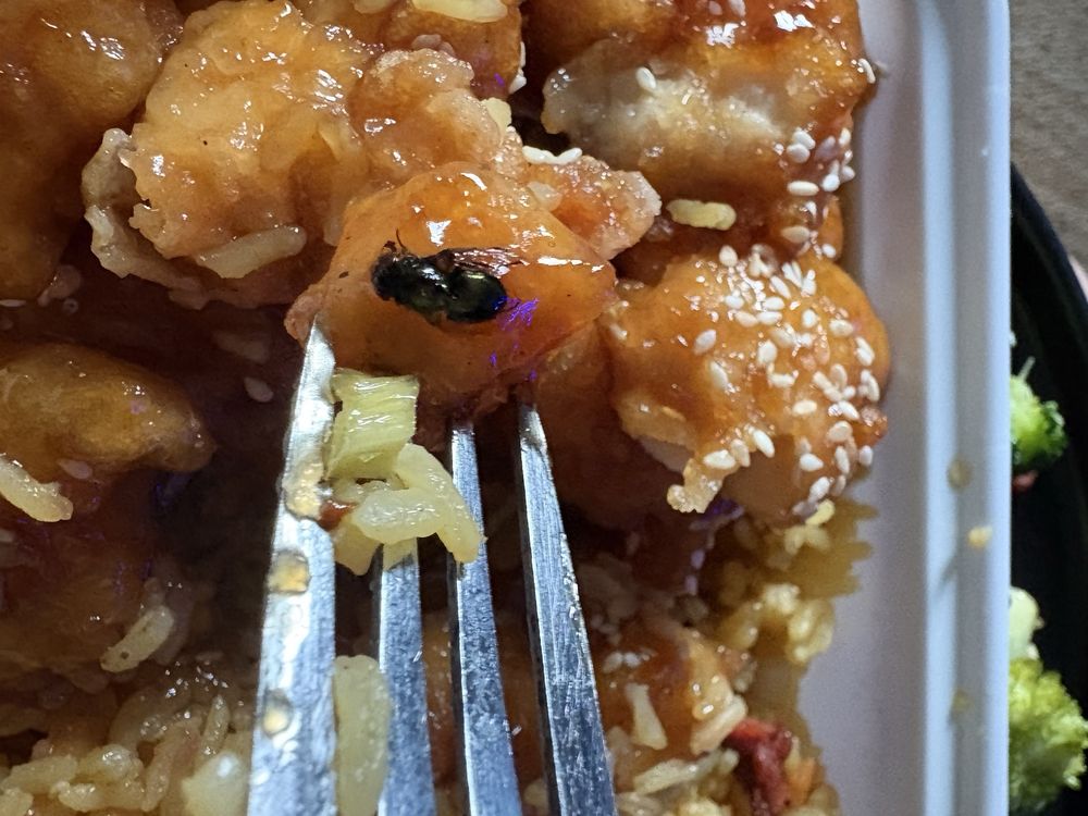 FOLIAGE CHINESE RESTAURANT - Updated May 2026 - 13 Photos & 48 Reviews ...